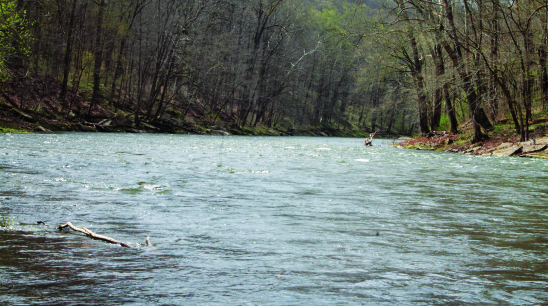 Little Beaver Creek becomes a state nature preserve | News, Sports ...